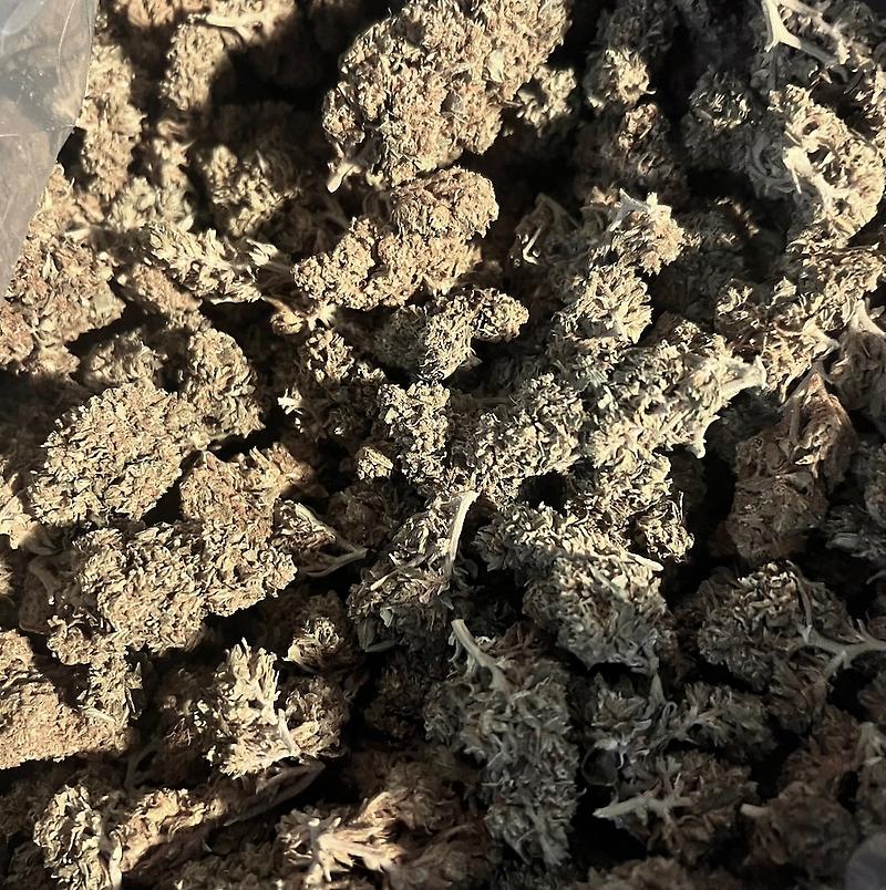 Alien OG Kush - New Low Price